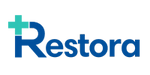 Cervical Neck Traction Pillow – Restora